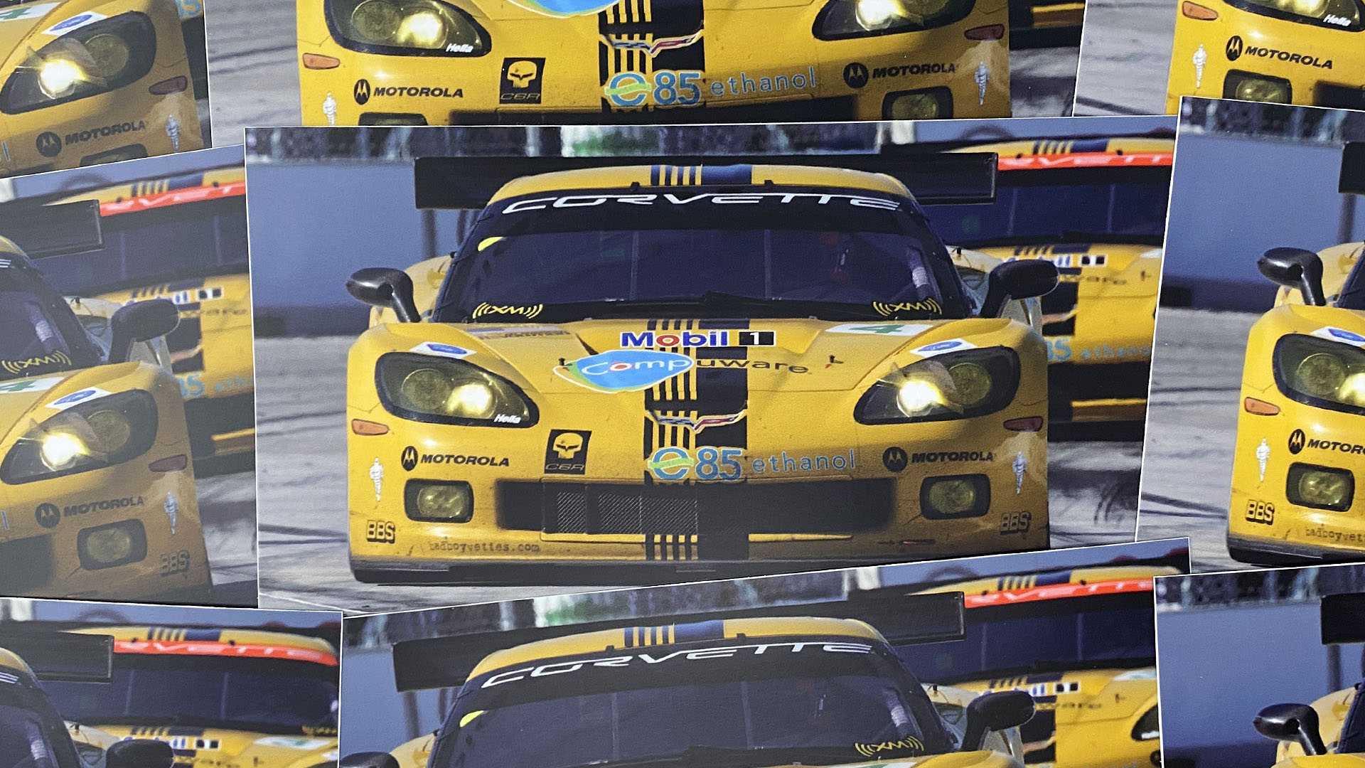 Corvette Racing ALMS Large Stickers | The Pruett Store